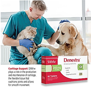 Denestra - Same for Dogs - S-Adenosyl-L-Methionine - Liver, Joint and Cognitive Support for Large Dogs - Vet Approved - 400 mg - 60 Tablets