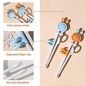 2 Pairs Kids Chopsticks, Slivek Kids Toddler Learning Training Chopsticks with Case, Cute Animal Cartoon Design Chopstick Helper Trainer for Kids Beginners, Bunny