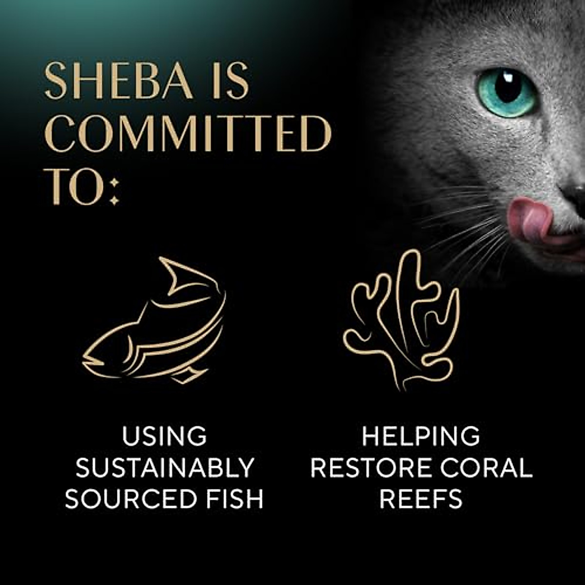 Sheba Perfect Portions Wet Cat Food Pate Tender White Fish and Tuna Entree, 2.6 oz. Twin-Pack Trays (24 Count, 48 Servings)