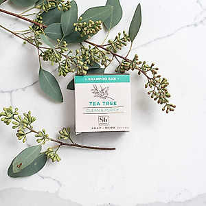 Soapbox Tea Tree Shampoo Bar for Dry Scalp | Natural, Eco Friendly, Vegan | Color Safe, free of Sulfates, Parabens, Silicones, Cruelty Free, 3.1oz (Pack of 1)