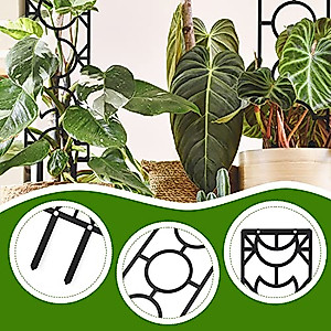 2pcs Metal Plant Trellis for Climbing Support, 19inch Indoor Houseplant Trellis Flower Potted Plants Moon Phase Small Garden Trellis with Moisture-Proof Layer for Pot Plant Vine Monstera (Black)