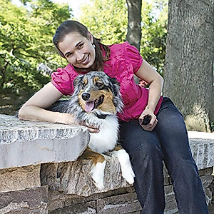 PetSafe Vibration Remote Dog Training Collar - Water Resistant - 100 Yards Range - 16 Levels of Vibration Plus Tone