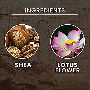 Tesori d'Oriente Perfumes for Women, Women’s Eau De Toilette Spray, Men’s Fragrances -100ml 3.38fl.oz [Italian Import]-(Lotus Flower)