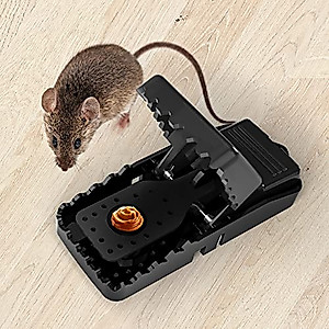 Instant Mouse Mice Traps Pack of 6 - for House, Indoor & Outdoor - Easy Setup & Reusable w/Powerful Spring - Quick & Effective Mousetrap Catcher, Best Traps to Remove Unwanted Rodents from Your Home