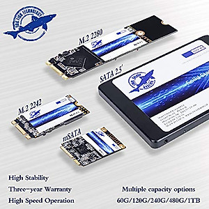 Dogfish SSD Msata 64GB Internal Solid State Drive Mini Sata Disk Drive High Performance Hard Drive for Desktop Laptop Notebook(MSATA, 64GB)