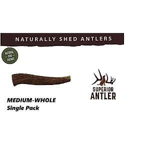 Elk Antlers for Dogs - Medium Size 5-8” All Natural Premium Grade A - Deer Antlers for Dogs, Pets, and Puppies- Dog Antler Chews - Long Lasting - Single Pack