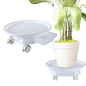 LANIAKEA 2 Pack 12Inch White Plant Caddy with Wheels, Round Rolling Plant Stand with Water Drawer, Moveable Plant Stand for Indoor Outdoor Moving Heavy Plant Pots