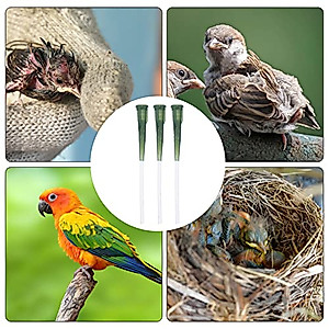 Soft Birds Feeding Hose Puppy Food Birds Water Feeder Bird Feeding Tubes Birds Feeding Hoses, 3pcs Parrot Feeding Hose Tool Birds Feeding Dropper Feeding Tube Birds Feeding Tool