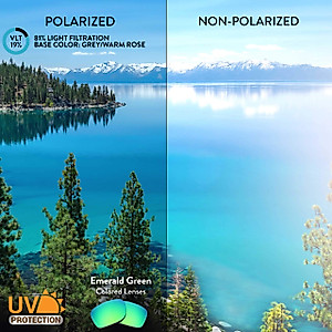 Polarized PRO Replacement Lenses for Tom Ford TF610 Jasmine-02 Sunglasses - By APEX Lenses (Emerald Green)