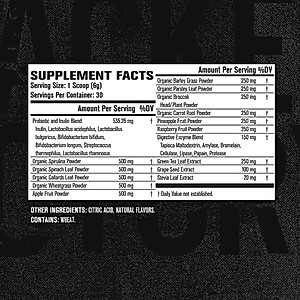 Green Surge Green Superfood Powder Supplement - Keto Friendly Greens Drink w/Spirulina, Wheat & Barley Grass, Organic Greens - Green Tea Extract, Probiotics & Digestive Enzymes - Mixed Berry - 30sv