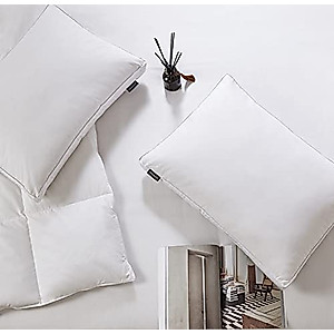 Beautyrest BT-DP-42-2PK White Feather and Down Fiber Pillow, King (Pack of 2), 2 Count