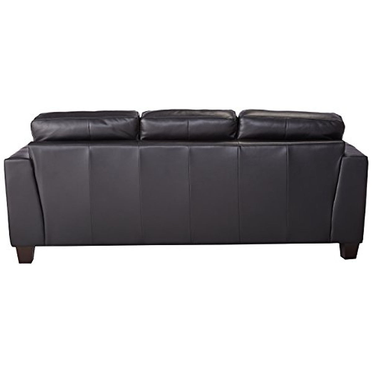 Coaster Samuel Transitional Leather Sofa, Black