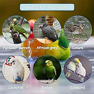 Hamiledyi Parrot Automatic Bath Tub,Pet Parrots Bathing,Bird Bathtub Parrot Shower with Faucet Multifunctional  Bath Box for Cockatiel  Parakeet  Finch Canary and Small Medium Birds  