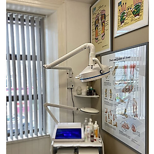 72W LED Stomatology Cold Light Shadowless Lamp Surgical Wall-Mounted Lamp Beauty Tattoo Pet Surgery Shadowless Light 24 Bulbs