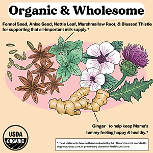 Lactation Support Tea w Fennel Seed & Star Anise Seed | Breast Milk Supply Production Increase | Lactation Tea | Postpartum Tea | Breastfeeding Support | Nursing Tea | 15 Plastic Free Pyramid Sachet