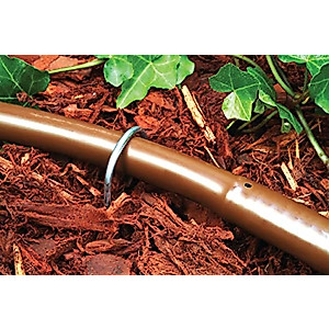 Rain Bird GS50/10PS Drip Irrigation 6" Galvanized Wire Stake for 1/2" Tubing, 10-Pack - Packaging May Vary