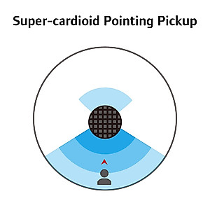 CAROL GS-67 Dynamic Vocal Microphone Supercardioid Handheld Mic, with Shock Absorber Effect for Presentation and Home Entertainment, Recording, Live Performance w/ 14.8ft XLR to 1/4"(6.35mm) Cable