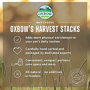 Oxbow Animal Health Harvest Hay Stacks - Western Timothy Hay with Carrots - All Natural Hay for Rabbits, Guinea Pigs, Chinchillas, Hamsters & Gerbils - 35 oz.