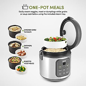 Aroma Housewares Professional 8-Cup (Cooked) / 2Qt. Digital Rice & Grain Multicooker (ARC-994SG), Gray