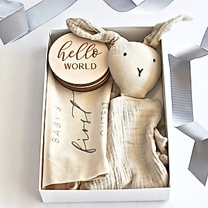 Baby Gift Box - Handcrafted Welcome Baby Gift Set - Choose 5 or 3-Pack Baby Shower Including Milestones, Closet Dividers, & More. +Additional Item: Birth Stat Disc. (Months Set 3-Pack)