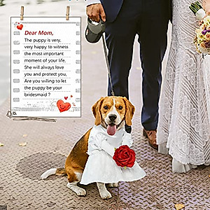 FUAMEY Dog Wedding Dress,Pet Costumes Evening Dresses Tutu Shirts,Puppy Girl Bride Skirt Holding Flowers Clothing,Fancy Luxury Rose Lace Dog Cat Bridesmaid Attire,Pet Sweet Formal Apparel Outfit White