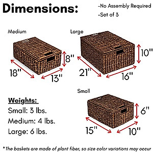 BIRDROCK HOME Seagrass Floor Baskets with Lids - Set of 3 - Brown Wash - Hand Woven Container for Blankets Pillows - Sturdy Metal Frame - Organization - Storage