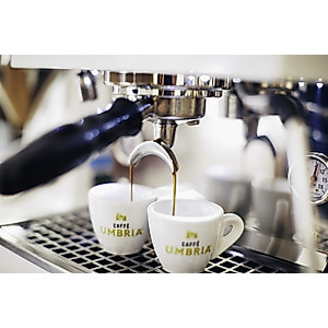 Caffe Umbria Fresh Seattle Whole Bean Roasted Coffee, Gusto Crema Blend Medium Roast, 12 oz. Bag