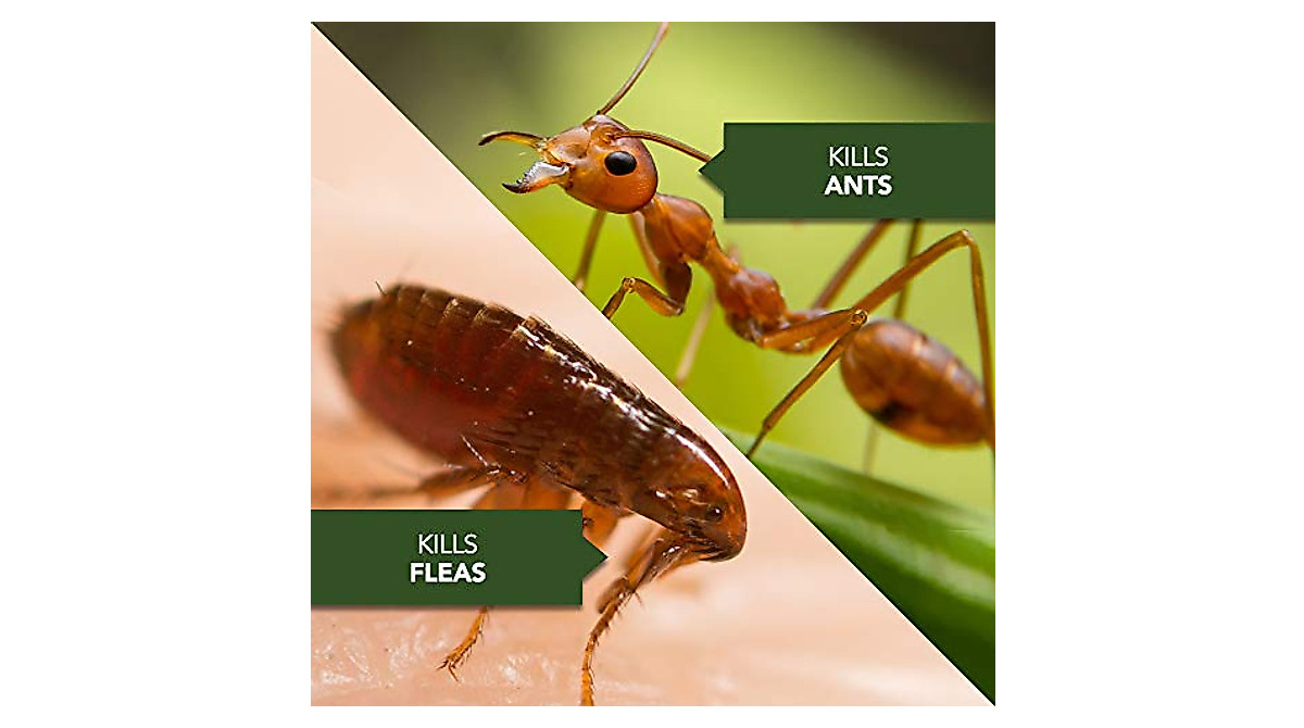 BioAdvanced Insect Killer for Soil & Turf | 20 lb Granules