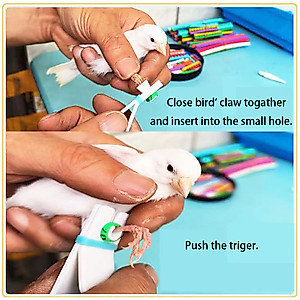 FOIBURELY 80 pcs Numbered Bird Ring Leg Bands for Gouldian Zebra Finch Canary Society Bird Foot Ring with 1 Installer(Diameter 3mm)