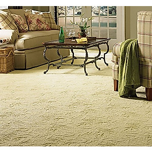 Black Diamond Stoneworks Carpet & Upholstery Cleaner: This Fast Acting Deep Cleaning Spot & Stain Remover Spray Also Works Great on Rugs, Couches and Car Seats. (1-gallon and 1-quart)