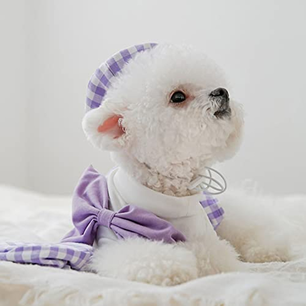 Pet Girls Suit Vintage Pearl Plaid Bow Dog Tutu Dress with Adjustable Hat Doggie Sweatshirt Puppy Girl Funny Costume Spring Dog Cat Outfits Apparel