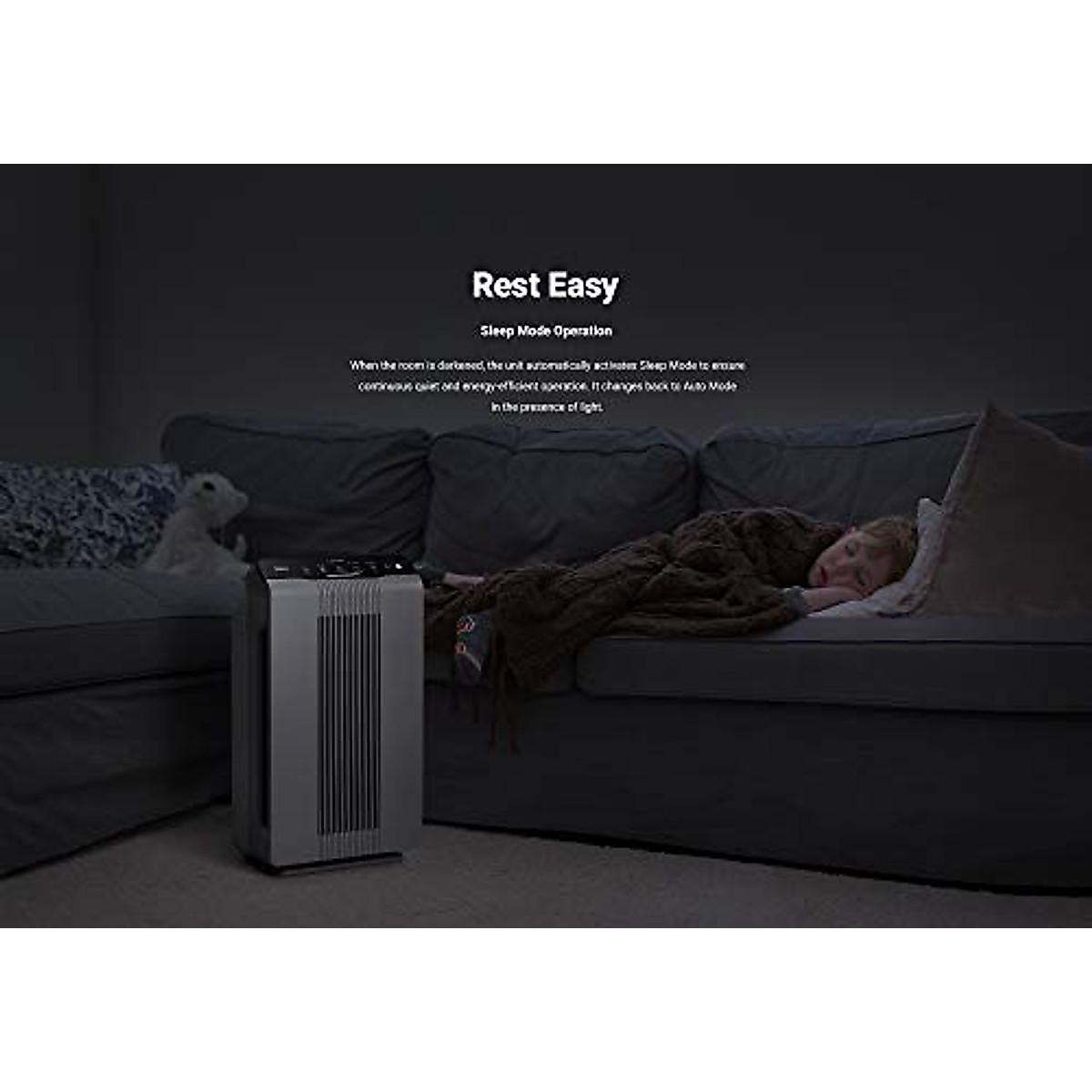Winix 5300-2 Air Purifier with True HEPA, PlasmaWave and Odor Reducing Carbon Filter,Gray Medium