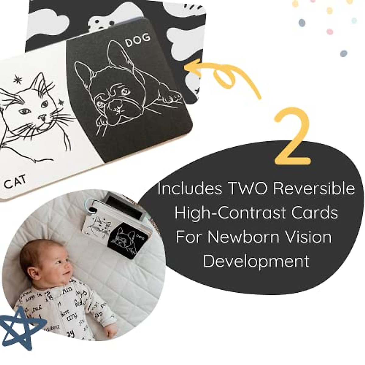 Curious Baby™ Award Winning 40+ Activities for Baby & Me (0-12 Months) | Developmentally-Focused and Stimulating Creative Playtime Ideas for Baby & Me | Includes Black/White High-Contrast Cards