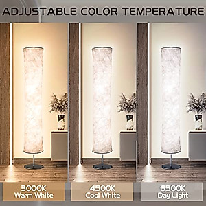 Torchlet LED Standing Lamp with Remote Control, Adjustable Color Temperature and Brightness, Modern Floor Lamp with Fabric Shade for Bedroom, Living Room