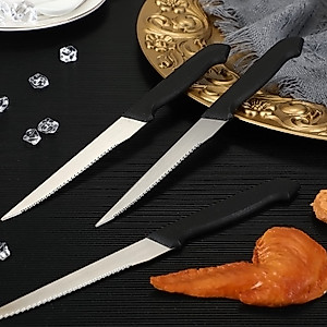 Therwen 100 Pieces Serrated Edge Pointed Tip Steak Knives Stainless Steel Steak Knife with Serrated Edge 8.8 Inch For Kitchen Restaurant Tableware Camping