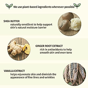 HEMPZ Body Lotion - Vanilla & Ginger Daily Moisturizing Cream, Shea Butter Hand and Body Moisturizer - Hemp Lotion - Skin Care Products, Hemp Seed Oil - 17 oz.