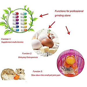 kathson 15 PCS Hamster Chew Toys Teeth Grinding Lava Block Mineral Stone Calcium Chewing Toy for Chinchillas Rabbit Bunny Guinea Pig Gerbil