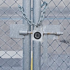 eLinkSmart Gym Locker Padlock - Fingerprint Mobile APP Unlock Remote Unlock: Waterproof Keyless Biometric Padlock for Gym Locker Field Box Footlocker Tool Box Gun Case Type-C Silver