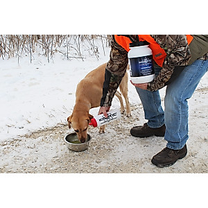 Kinetic Performance Dog Food Probiotics for Dogs (Hydro 30K)