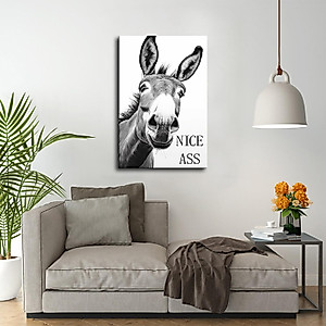 NICE ASS - Funny Donkey Animal Canvas Poster Holiday Gift HD Picture Modern Aesthetics Mural Wall Art Decoration (Framed,08×12inch)