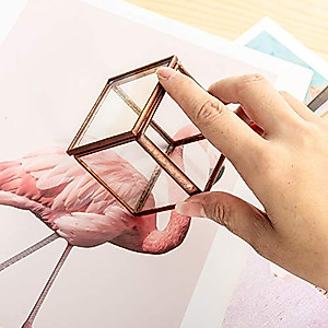 Feyarl Tiny Clear Glass Jewelry Trinket Box Ornate Rings Earrings Shadow Organizer Treasure Chest Decorative Keepsake Case with Lid for Wedding Birthday Gift (Brass)