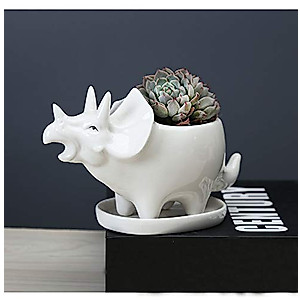 KiaoTime Dinosaur Shape White Ceramic Succulent Planters Pots Little Planter Flower Bonsai Dino Pots Vase Container Cactus Desktop Animal Decoration Pencil Holder Nursery Pots