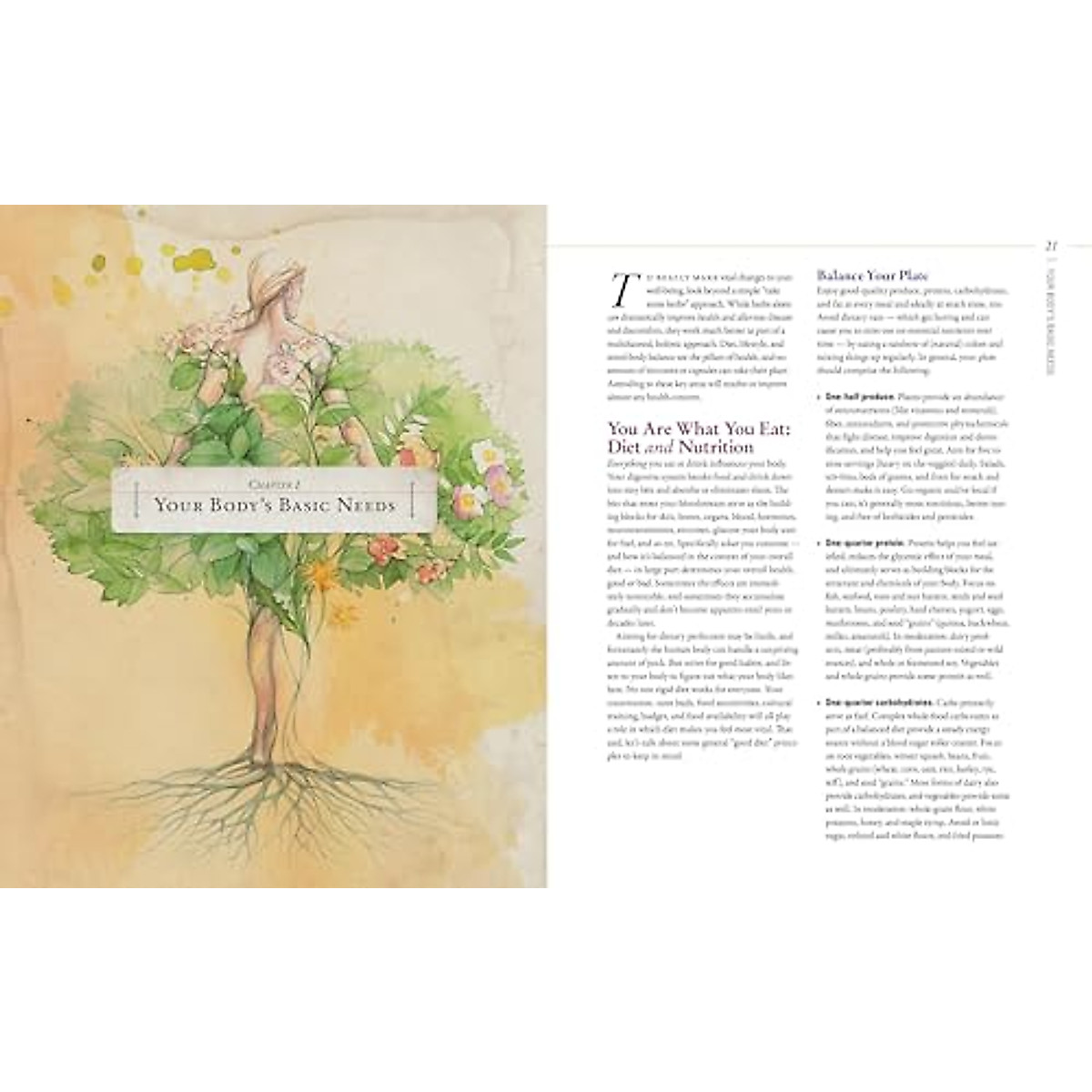 Body into Balance: An Herbal Guide to Holistic Self-Care