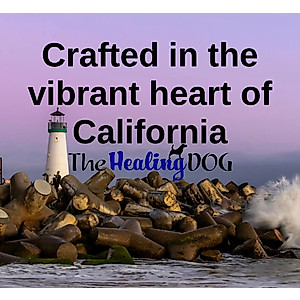 The Healing Dog: Hemp Drops for Dogs & People - 2000mg