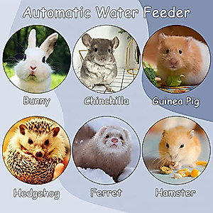 Tfwadmx Rabbit Watter Bottle 17oz Hanging Guinea Pig Automatic Water Dispenser No Drip Small Animal Cage Water Feeder Bowl for Bunny Chinchilla Hedgehog Ferret 2PCS (Grey)