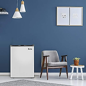 Winado Upright Freezer, 2.1 Cu.ft Mini Freezer, Stainless Steel Compact Upright Freezer w/Reversible Single Door, Removable Shelves for Home, Dorms, Apartment, Office