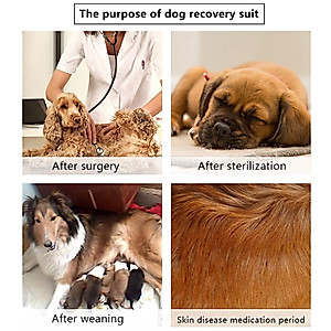 ZIMAOSHAN Recovery Suit for Dogs - Onesie for Small Medium Dogs Recovery Suit for Female Male,Substitute E-Collar & Cone