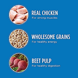 IAMS Adult Healthy Weight Control Dry Dog Food with Real Chicken, 15 lb. Bag