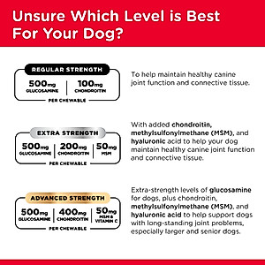 Nutri-Vet Hip & Joint Extra Strenght Chewable Tablets for Dogs, 75 count (24743-3)