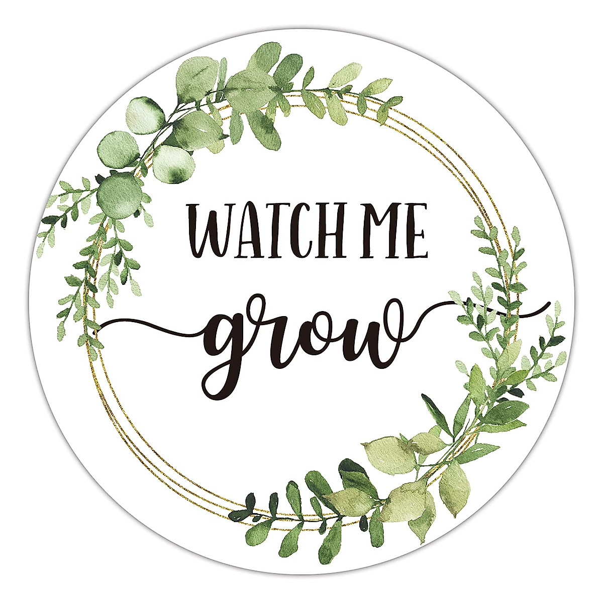 Watch Me Grow Stickers, Greenery Wedding Favor Stickers, Baby Shower Stickers, Favors, Decorations, 2 Inch, Pack of 50